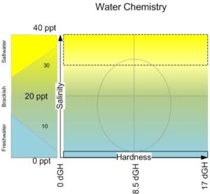 Fish compatibility - water chemistry - Aquarium Reference